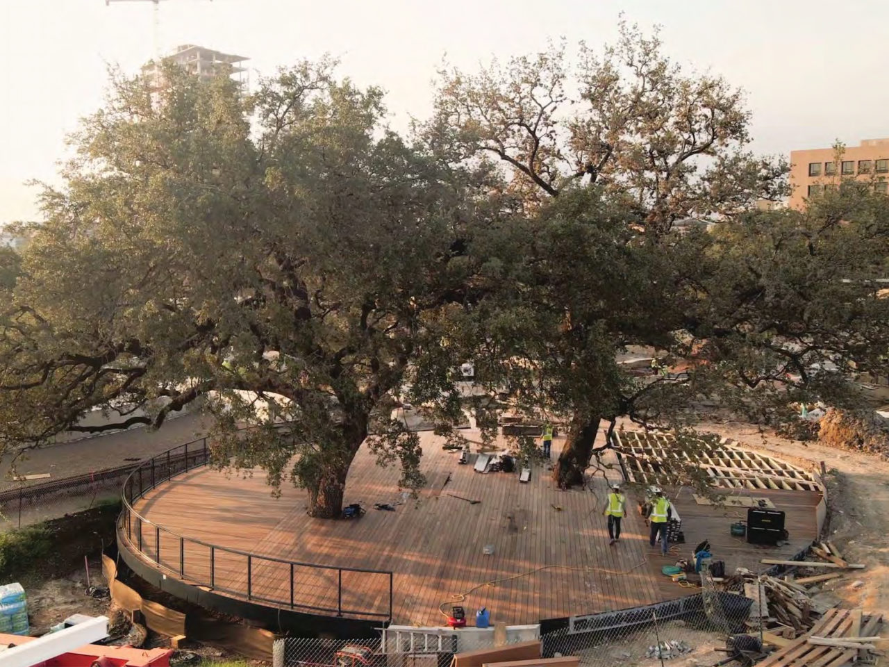 Waterloo Park opens in downtown Austin this August, and it looks ...