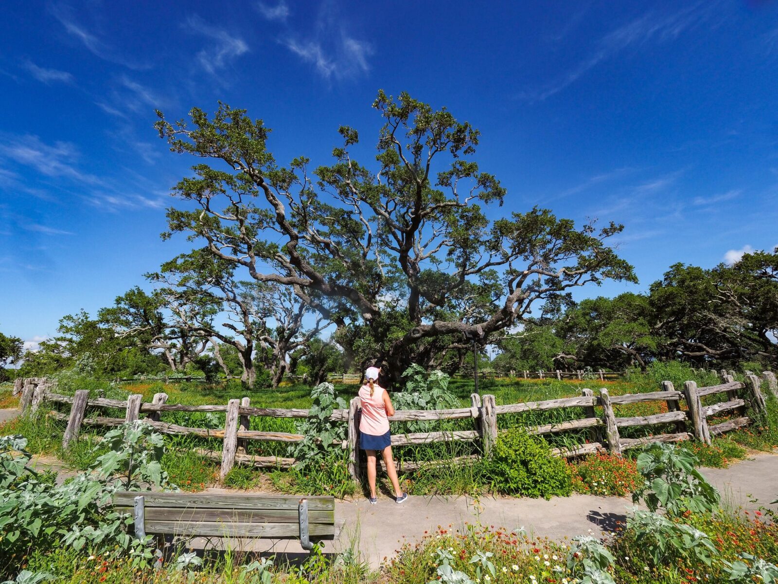 Free admission at Texas State Parks this Sunday - Pam LeBlanc Adventures